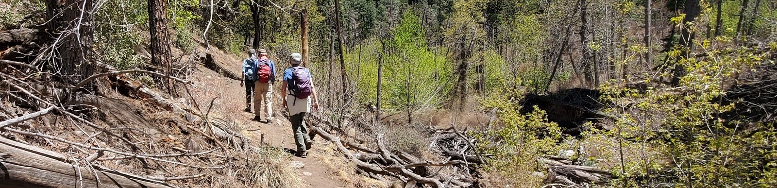 Three Rivers Trail #44 Hike – 04/24/2021 - Hiking in New Mexico
